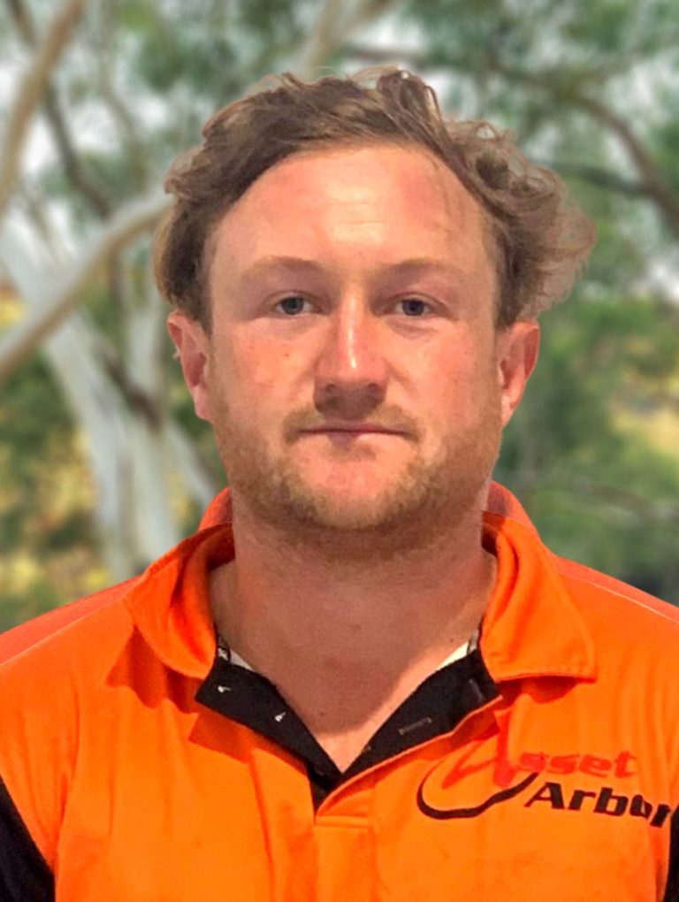 Home - Asset Arbor Tree Services