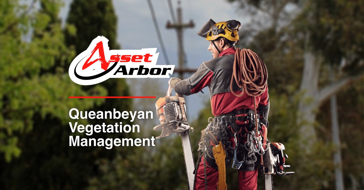 Queanbeyan Vegetation Management - Asset Arbor Tree Services